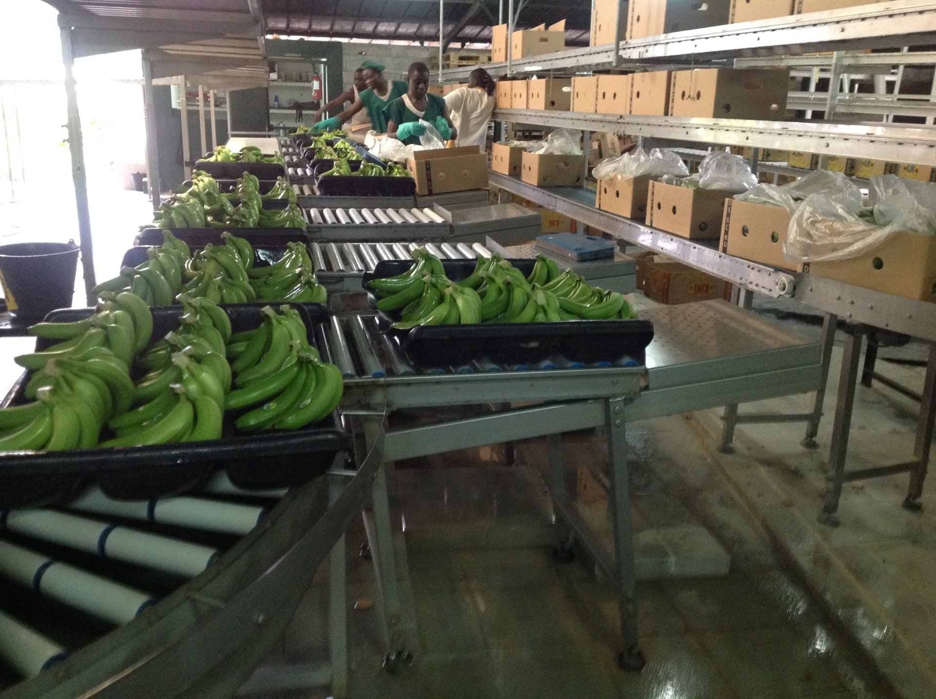 Convoyeur aérien à banane penderie aérienne CMAT