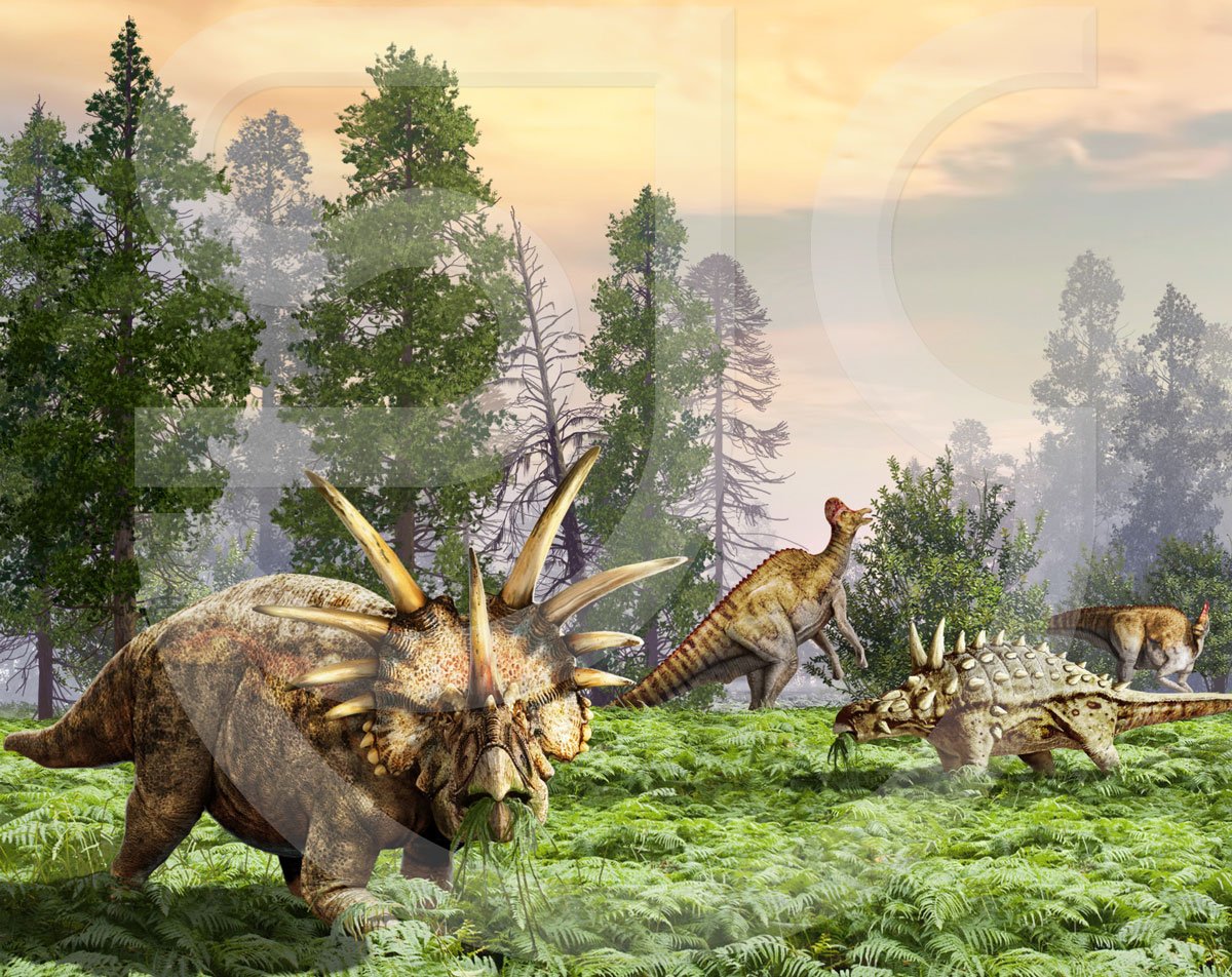 Prehistoric • Dinosaurs • Evolution | SJC Illustration Gallery