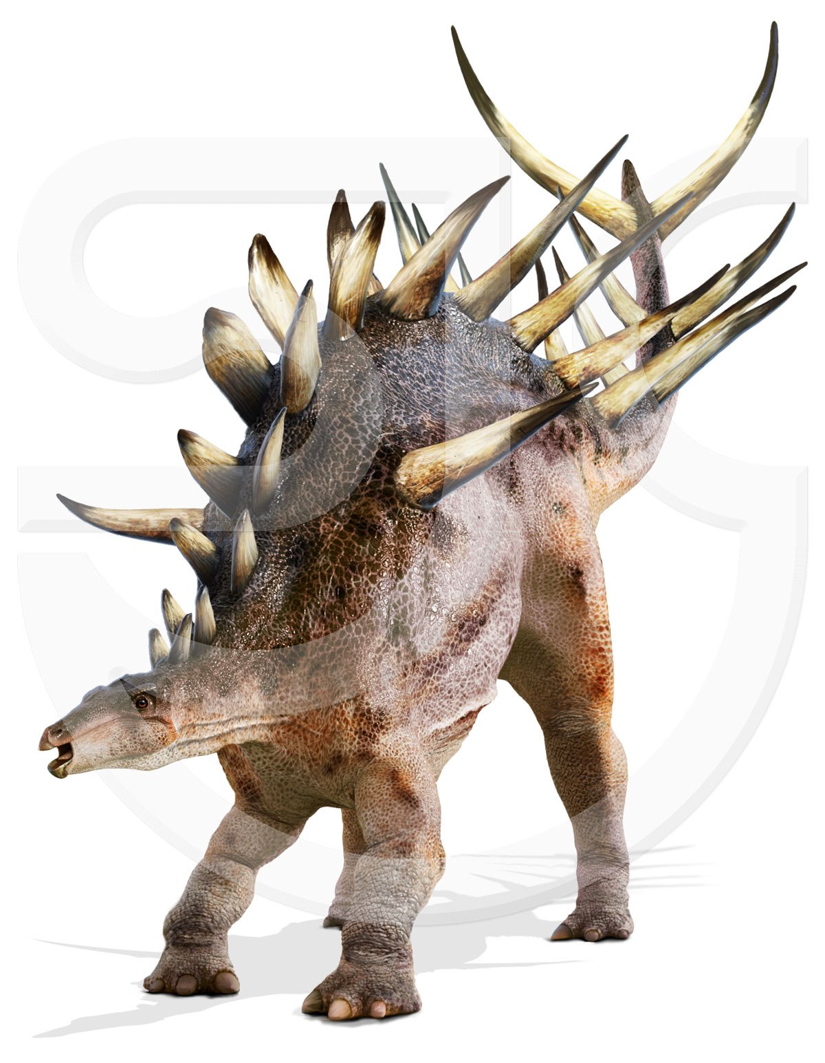 Prehistoric • Dinosaurs • Evolution | SJC Illustration Gallery