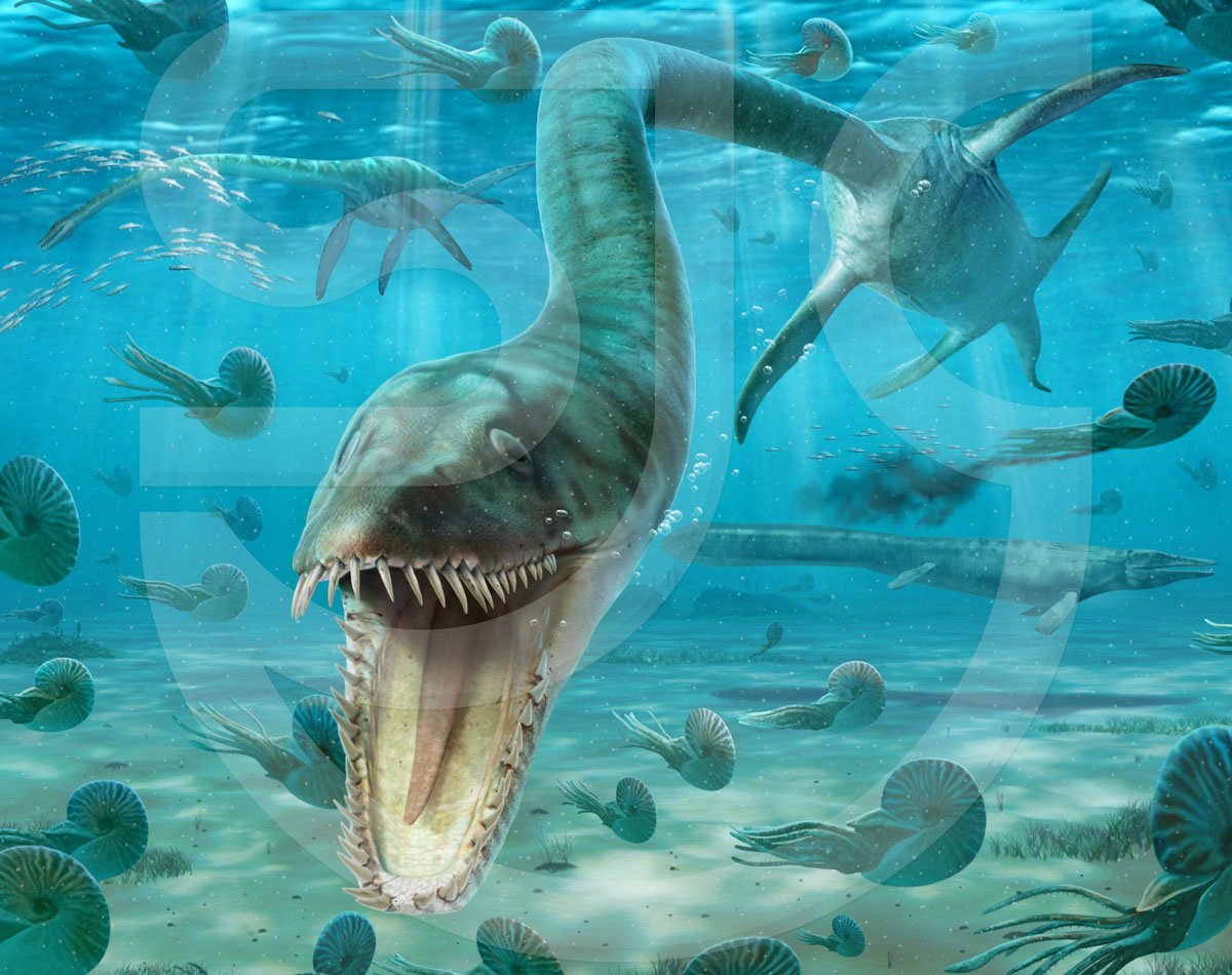 Prehistoric • Dinosaurs • Evolution | SJC Illustration Gallery