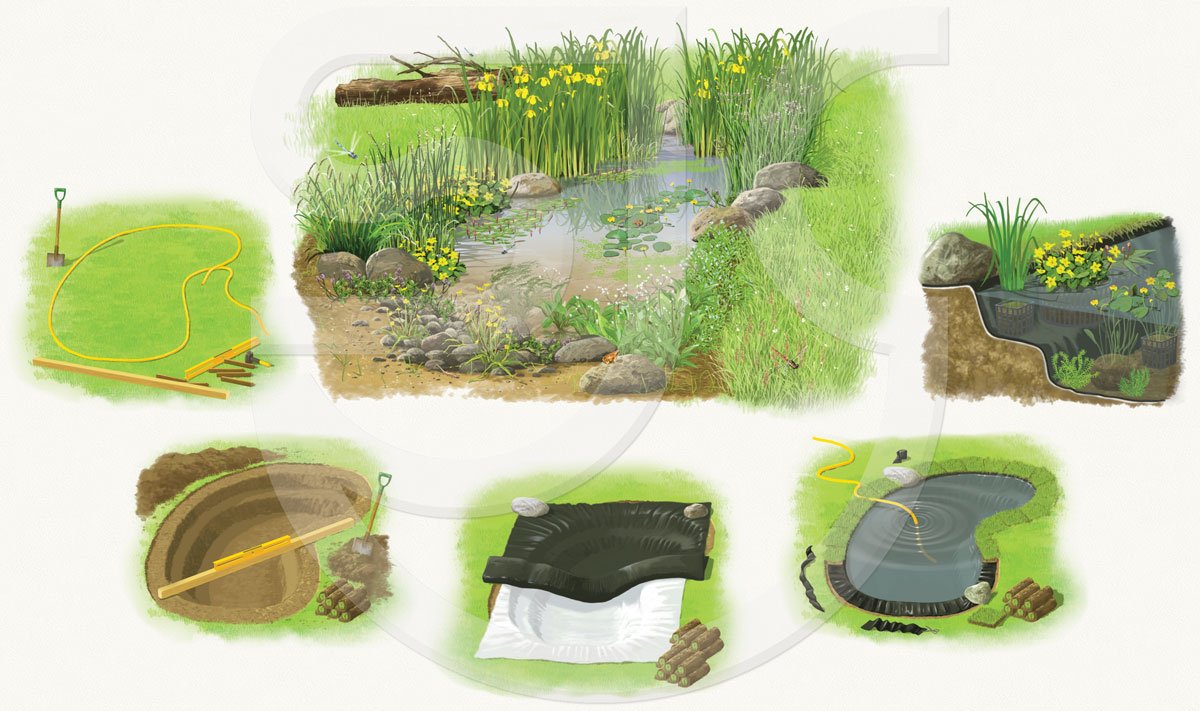 Environment • Habitats • Outdoor Survival | SJC Illustration Gallery