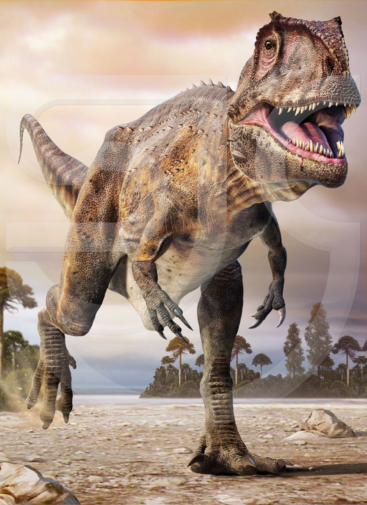Prehistoric • Dinosaurs • Evolution | SJC Illustration Gallery