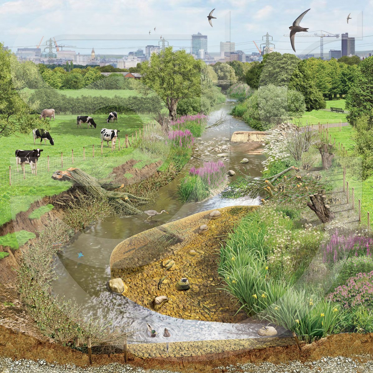 Environment • Habitats • Outdoor Survival | SJC Illustration Gallery