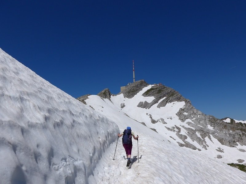 Säntis Bergtour Lisengrat