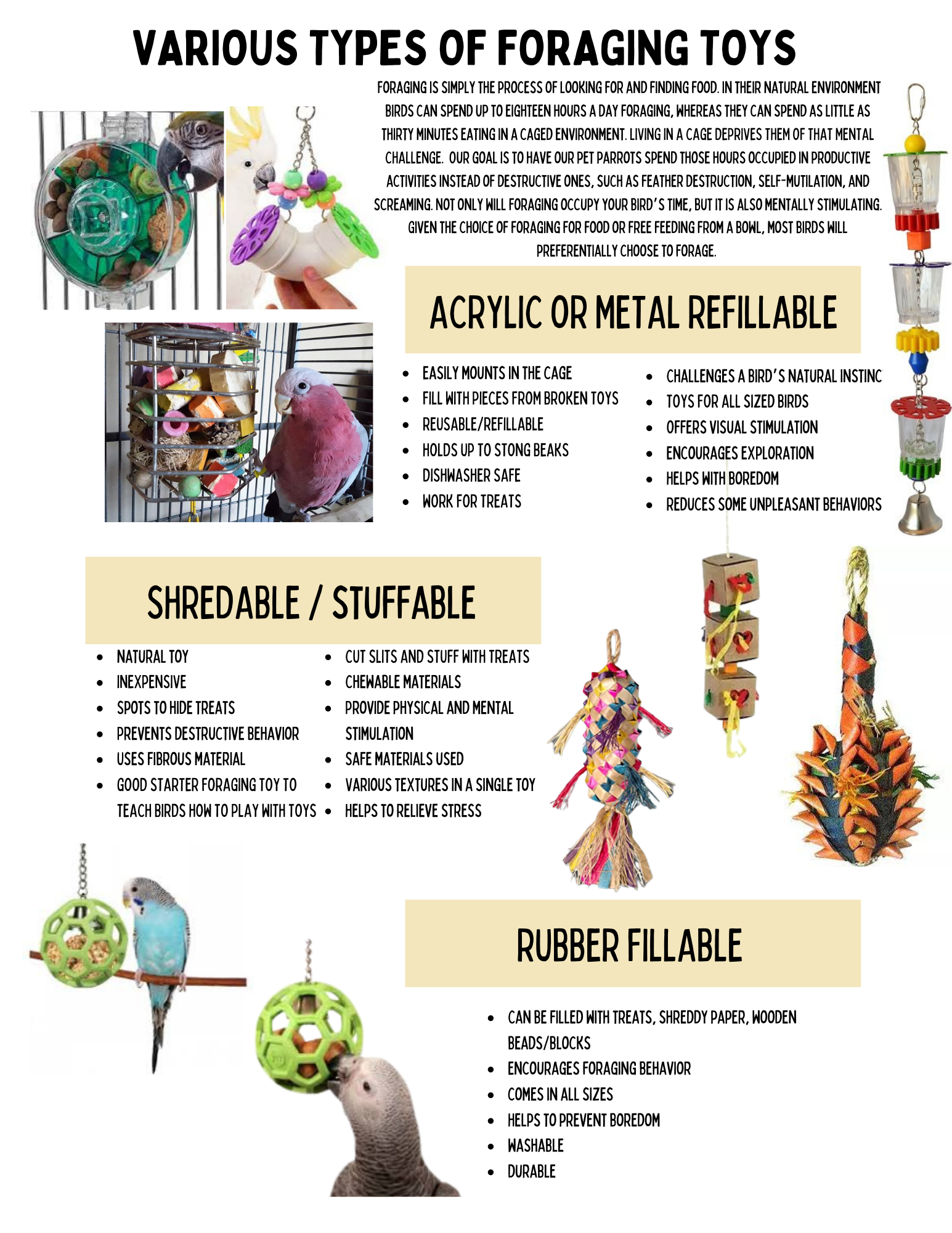 The Benefits of Foraging Toys and How to Make Your Own-Cheap!