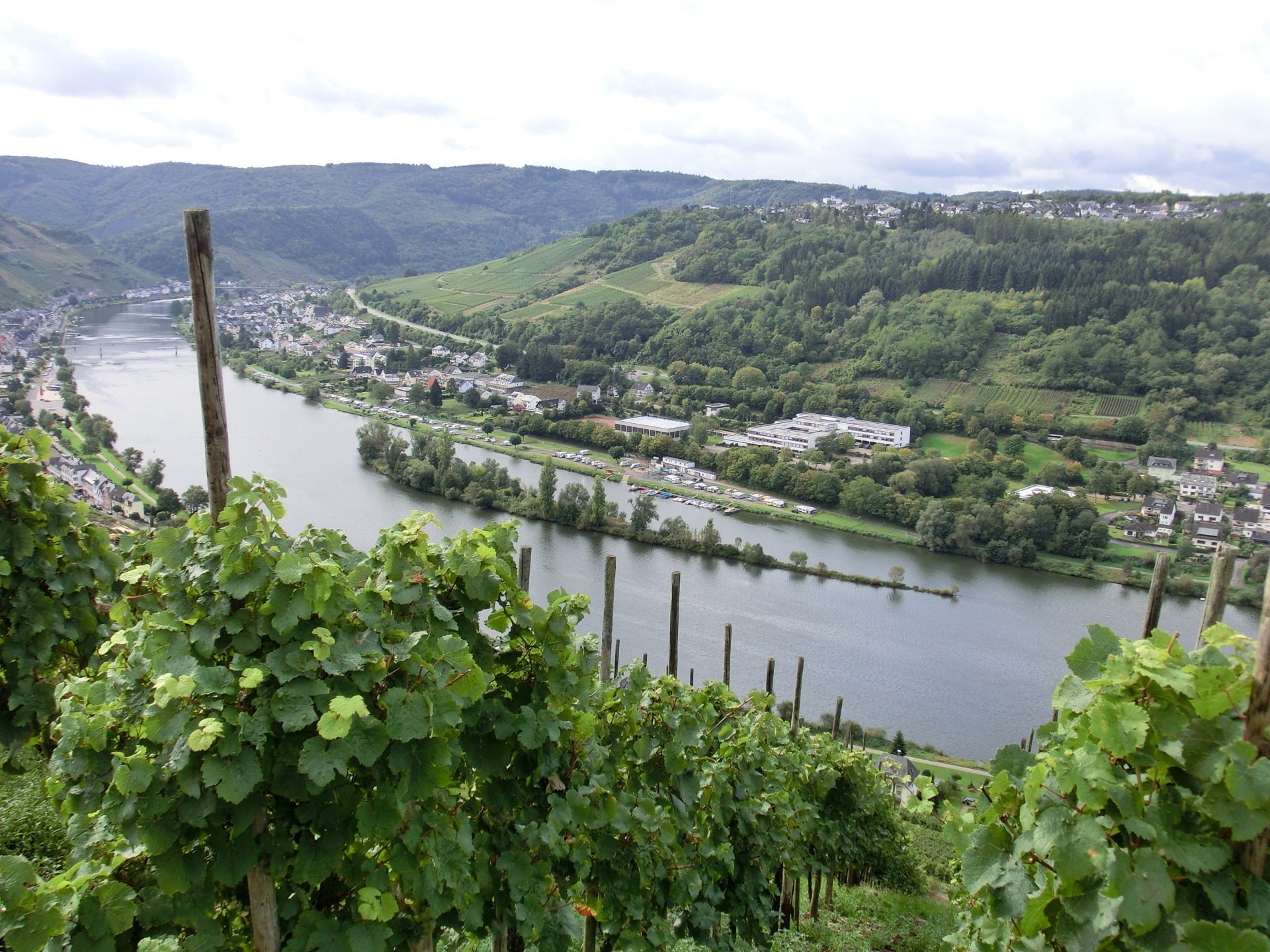 Weingut Jürgen Mesenich