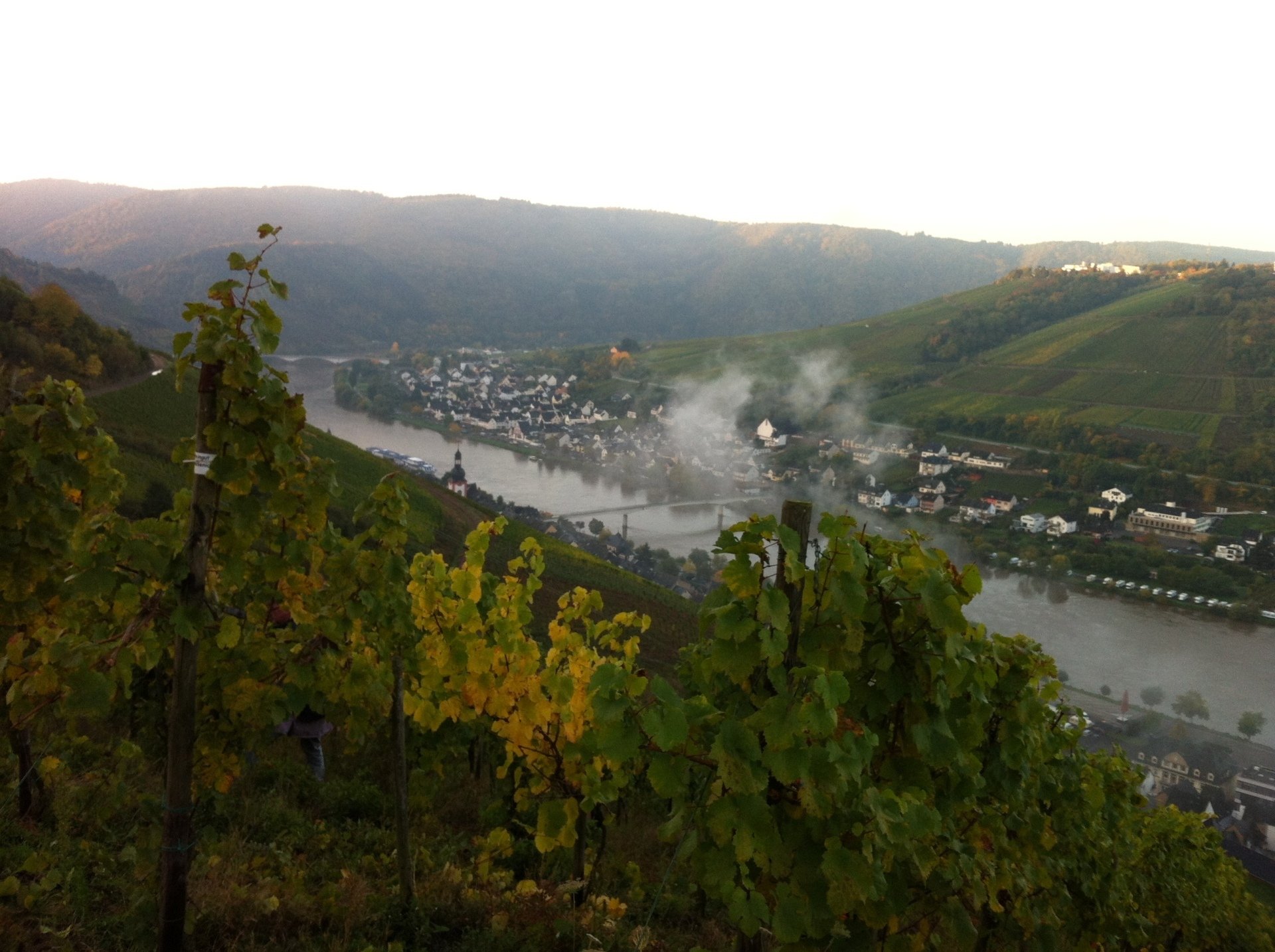 Weingut Jürgen Mesenich
