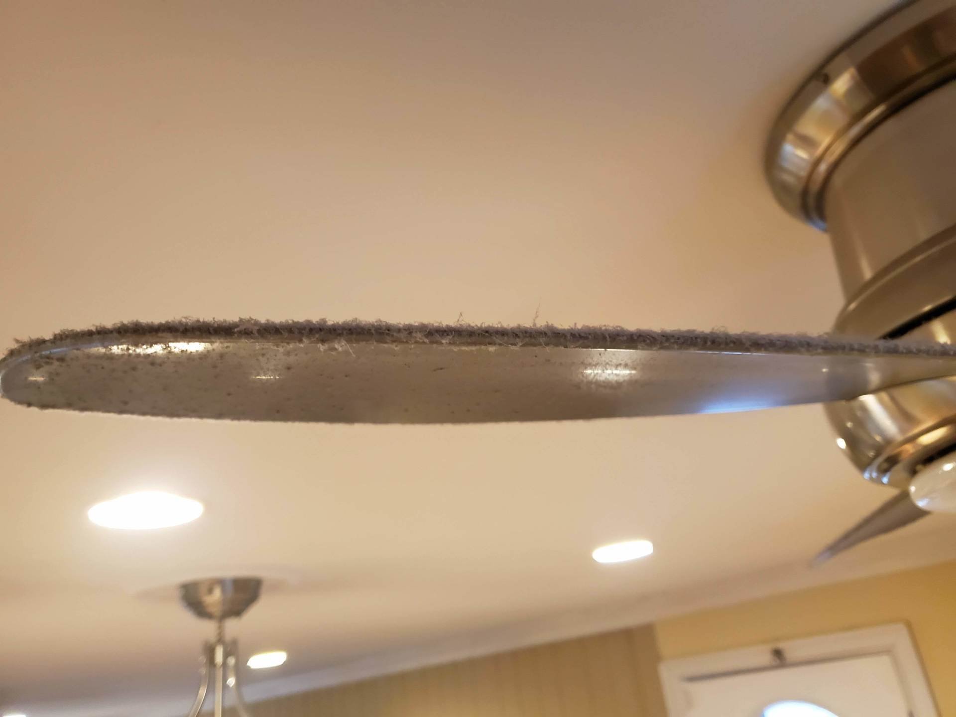 51-reasons why your home is not selling