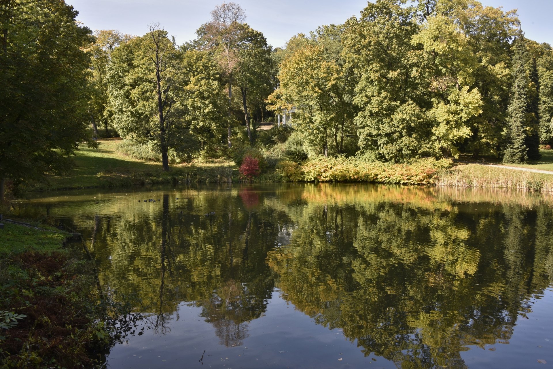 Welcome to Wellbeing & Career Coaching with Sandra Hutton