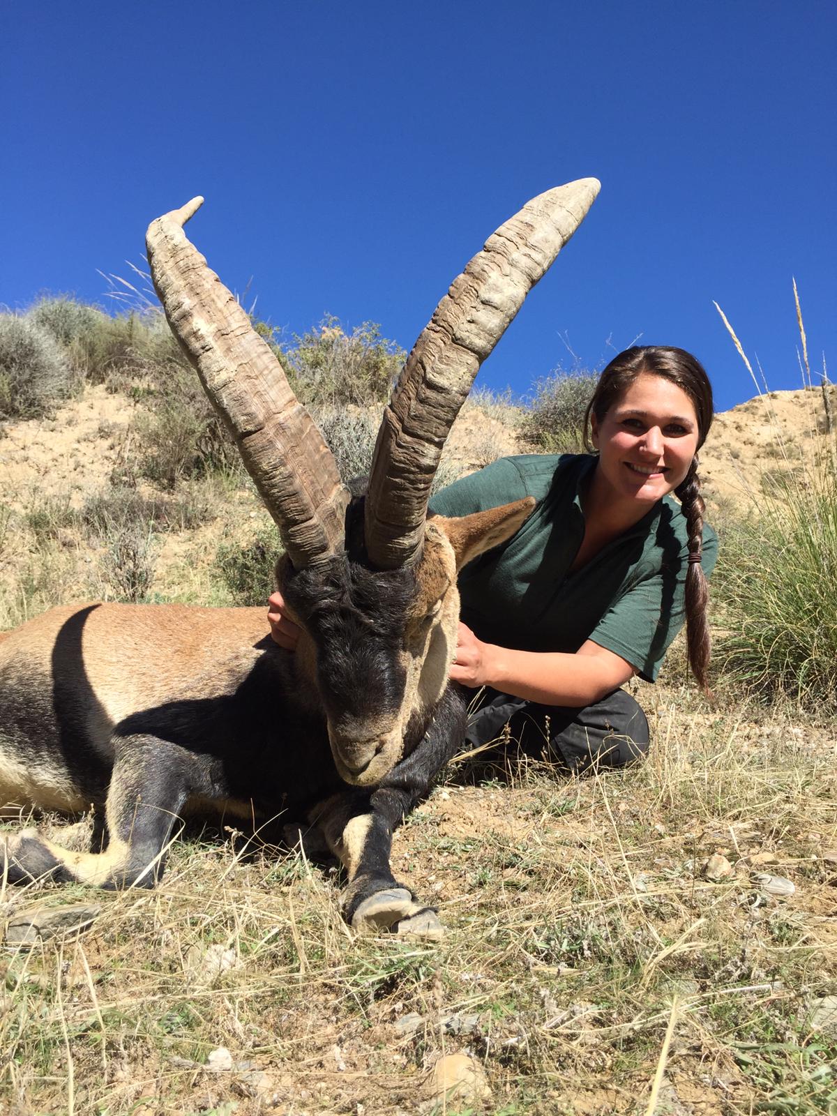 SIERRA NEVADA IBEX (SOUTHEASTERN IBEX) AND RONDA IBEX
