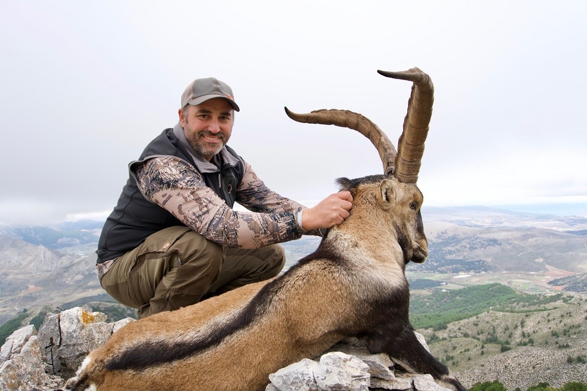 SIERRA NEVADA IBEX (SOUTHEASTERN IBEX) AND RONDA IBEX