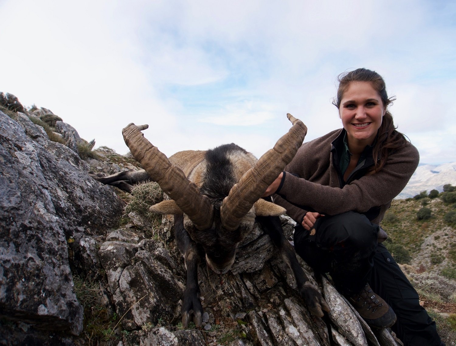 SIERRA NEVADA IBEX (SOUTHEASTERN IBEX) AND RONDA IBEX