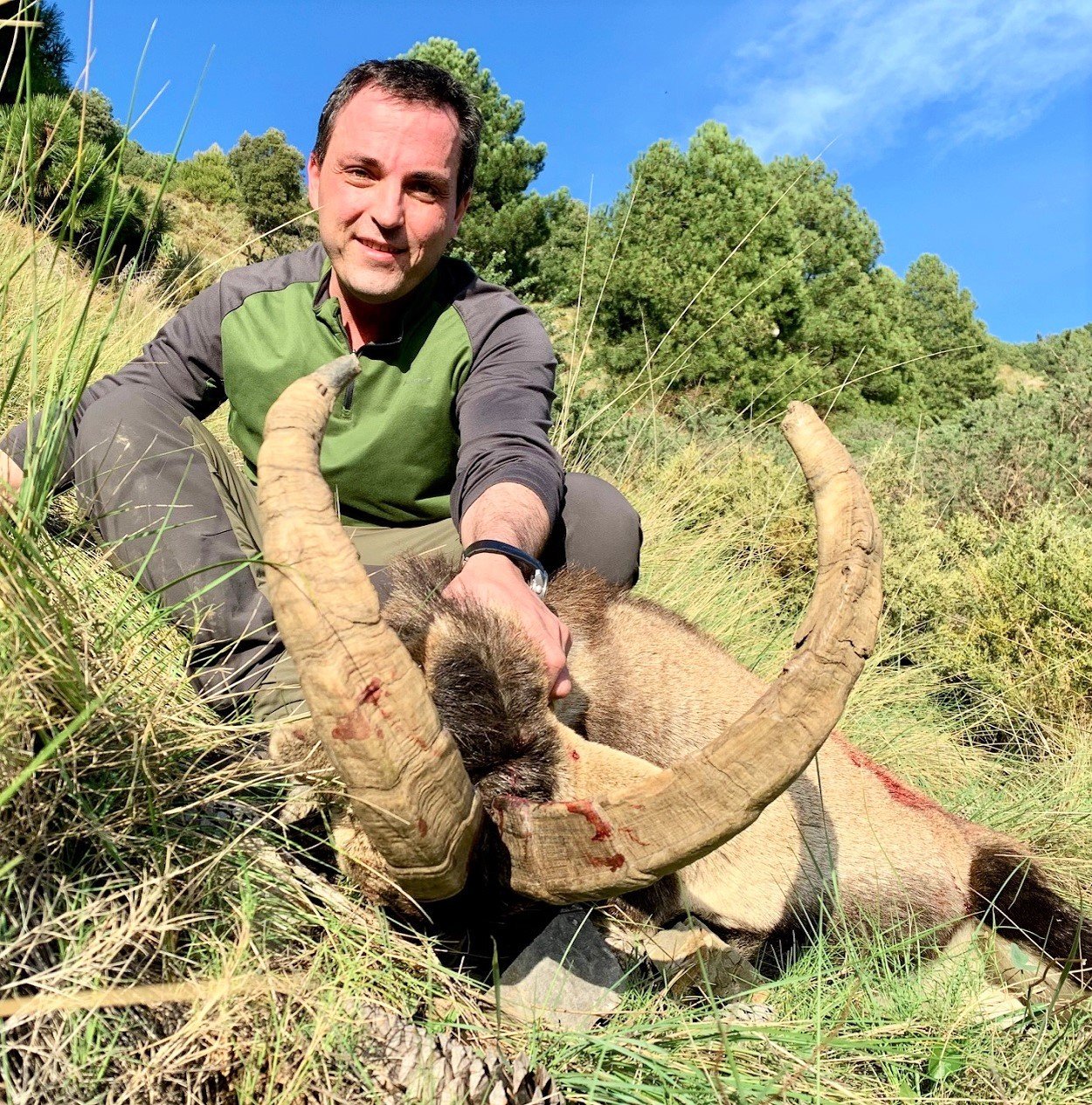 SIERRA NEVADA IBEX (SOUTHEASTERN IBEX) AND RONDA IBEX