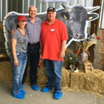 Wagyuzucht Holstein Wagyu