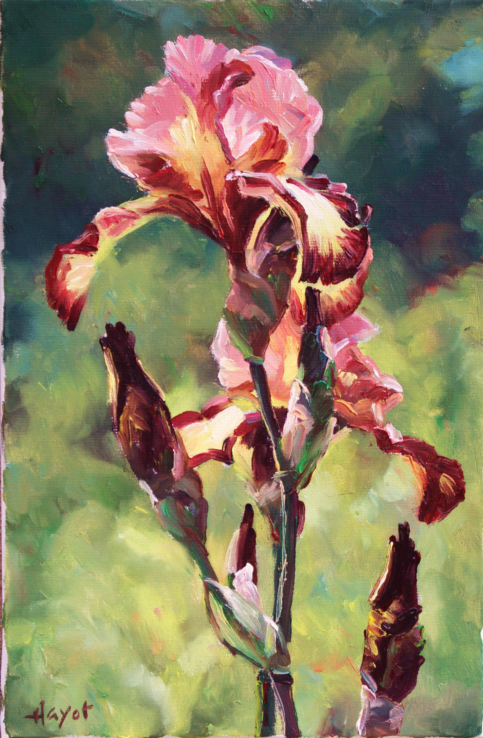 galerie d'art, tableau déco, annecy, artiste peintre, atelier artiste