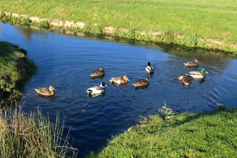 Useful Information about Bledington Gloucestershire