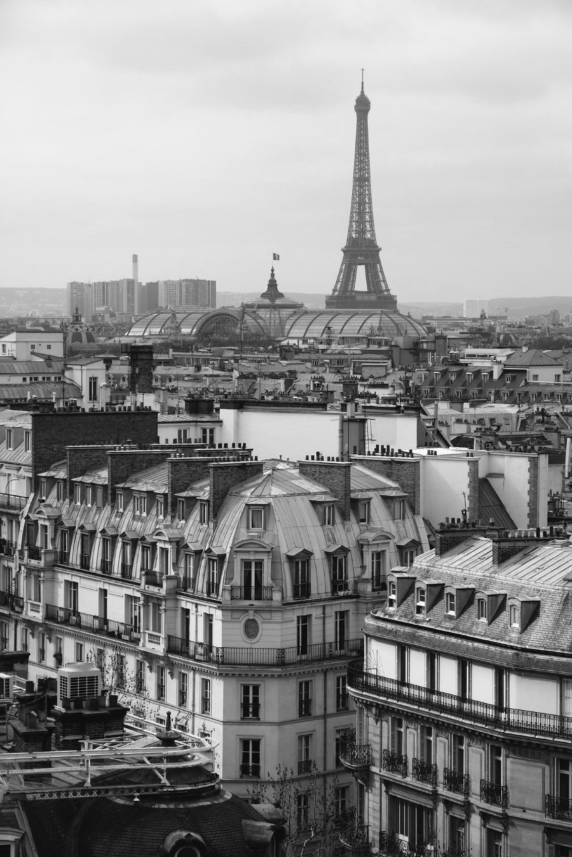 Dolux, l'excellence à la française