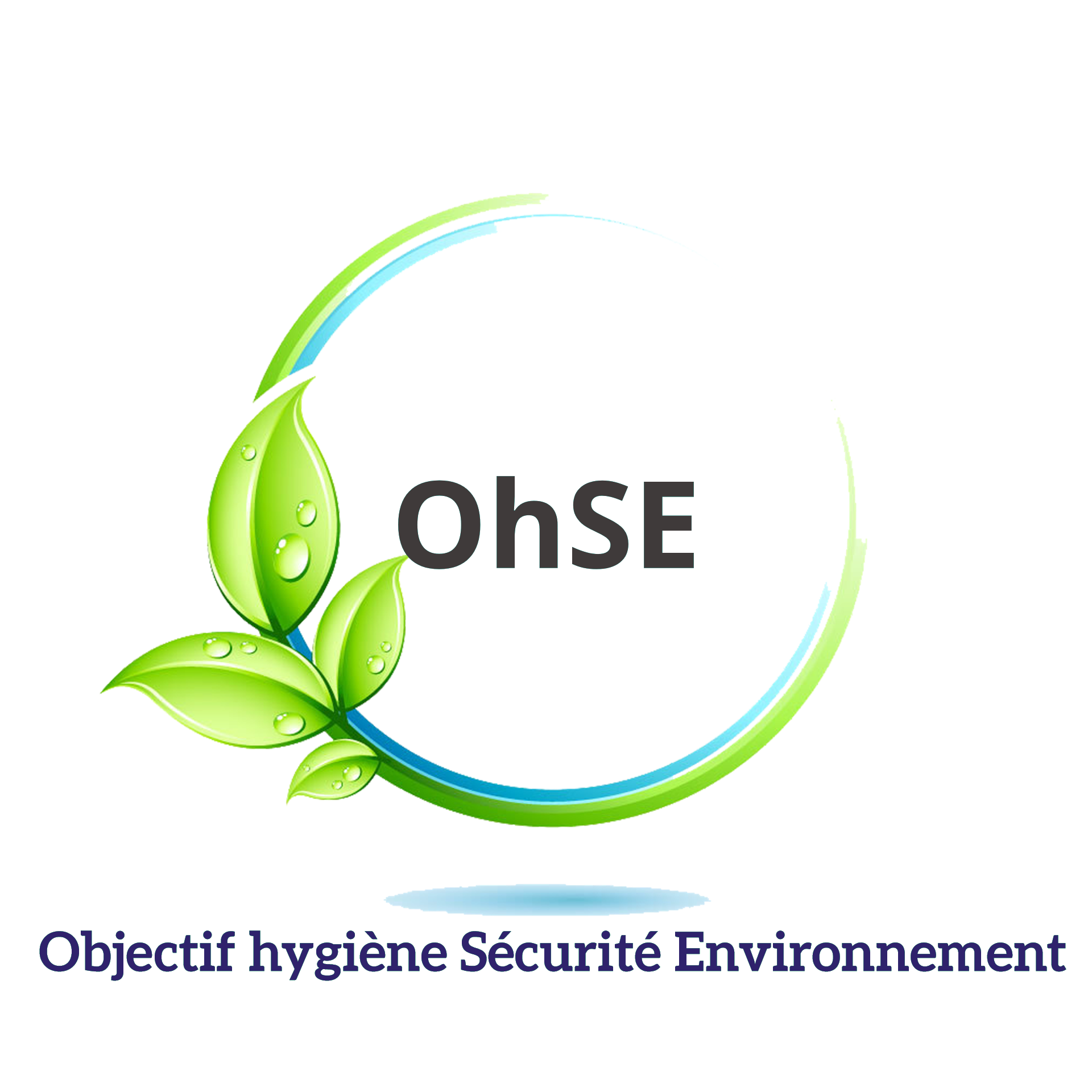 OHSE Objectif Hygiène Sécurité Environnement