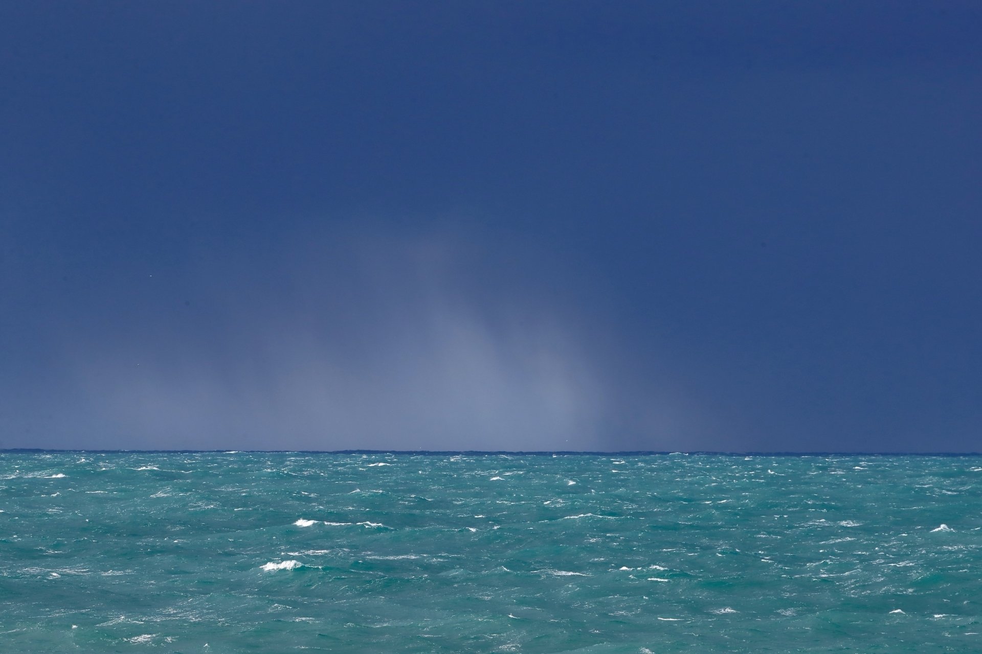 David Shaw Photography- Wildlife,Weddings,Product Promotion