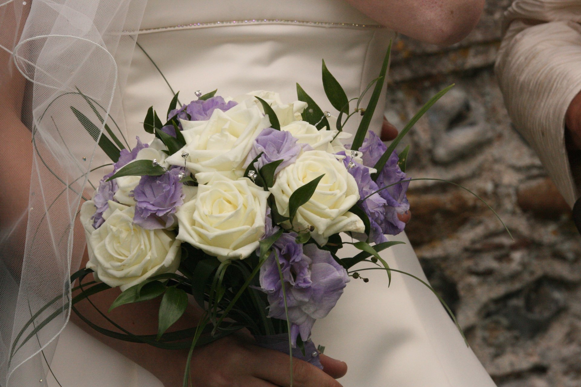 David Shaw Photography- Wildlife,Weddings,Product Promotion