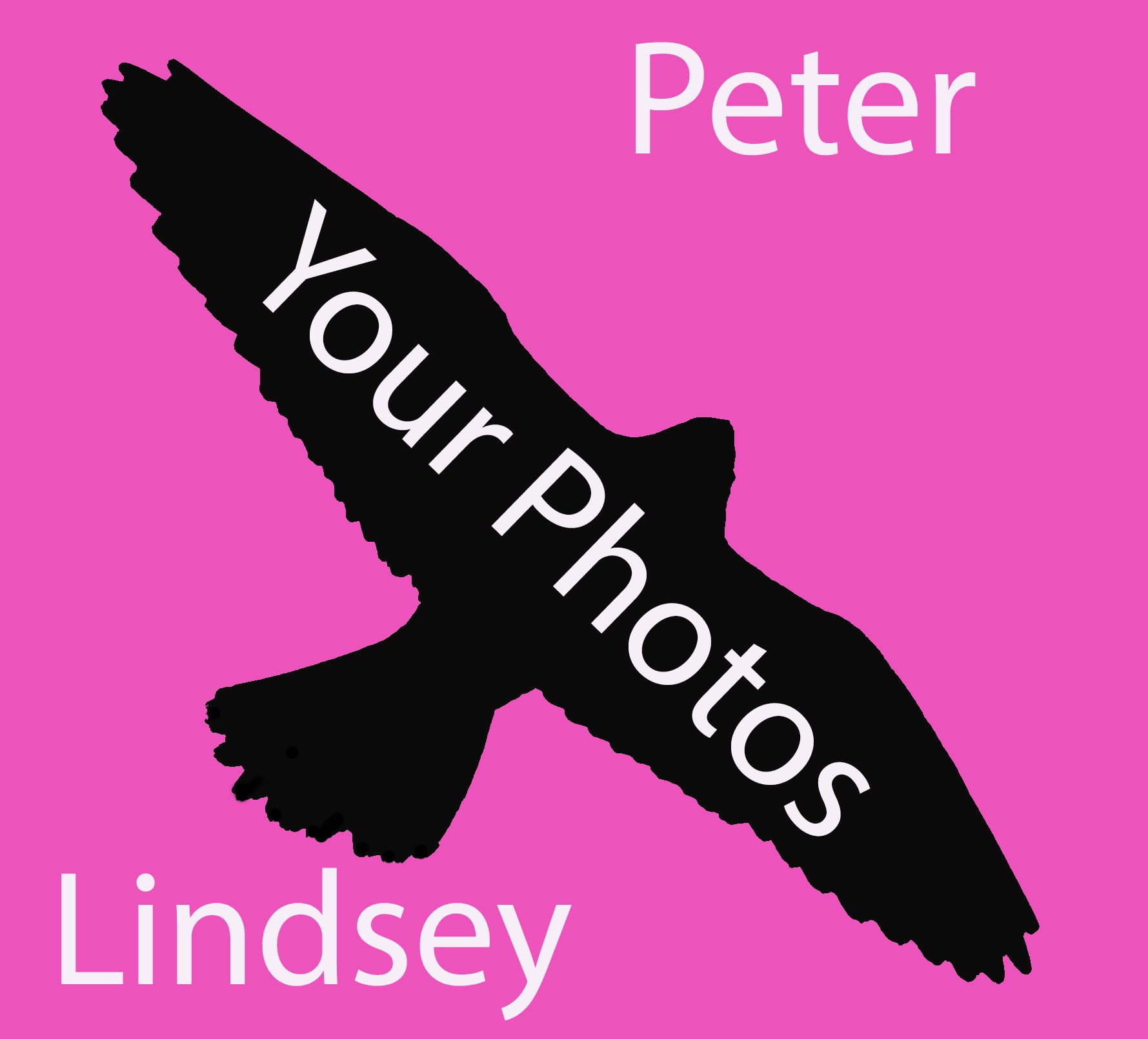 David Shaw Photography- Wildlife,Weddings,Product Promotion