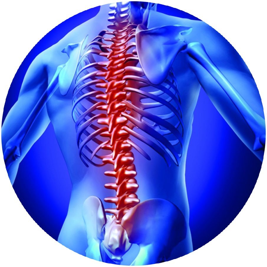 Barcelona Doctors Trauma Medical Care BCN Insurance