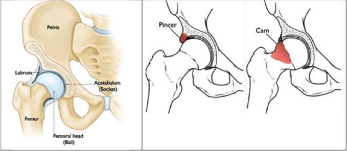 Barcelona Doctors Trauma Medical Care BCN Insurance