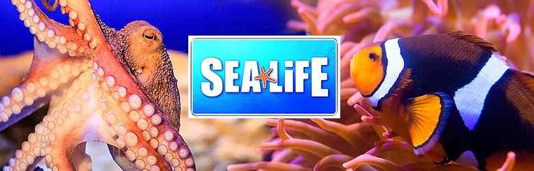 SEA LIFE eine faszinierende Reise in die Unterwasserwelt