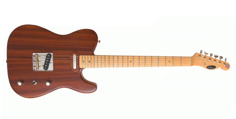 UW Instruments Different Modells & Shapes, T-Type Guitars