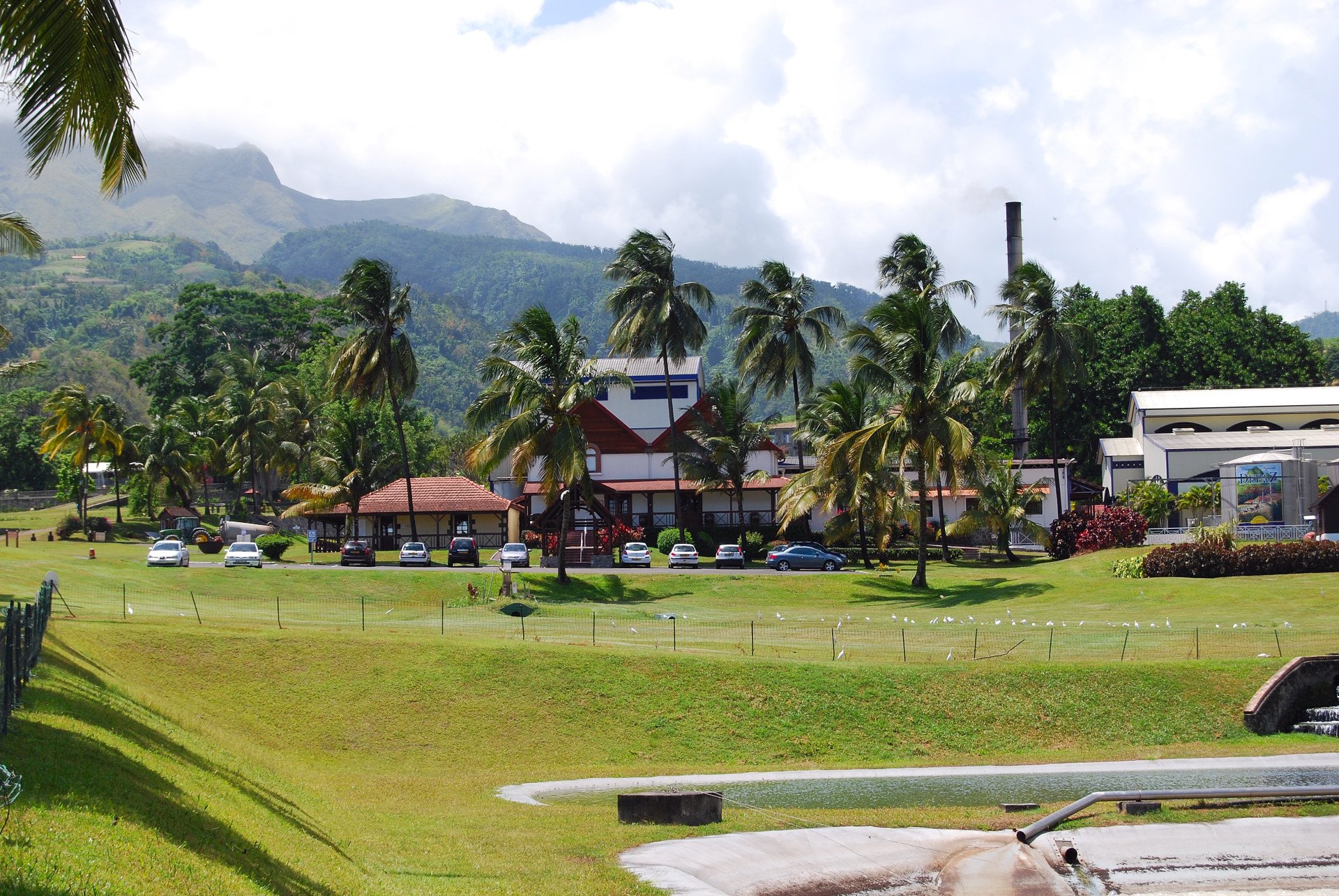 Martinique Les Salines - Der perfekte Strand im Süden