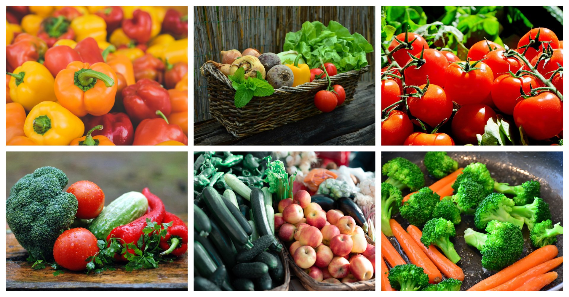 Organic Vegetables | Hopewell Junction | Sabellico Greenhouses