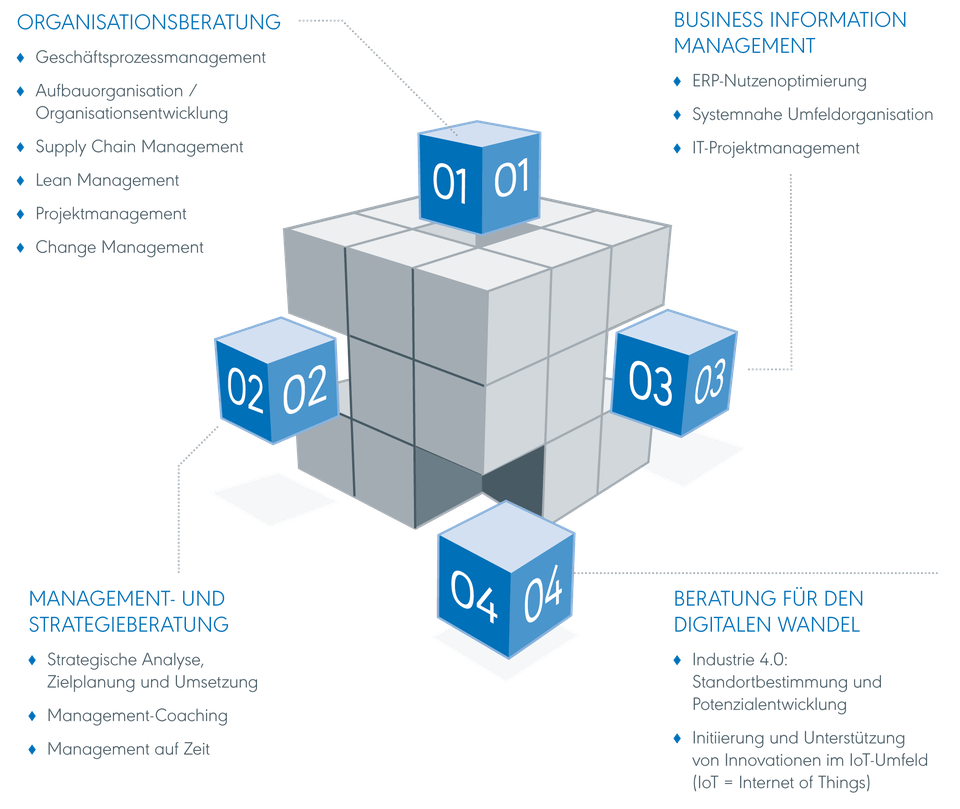 Leistungen | Prozessoptimierung, Change Management, ERP-Beratung