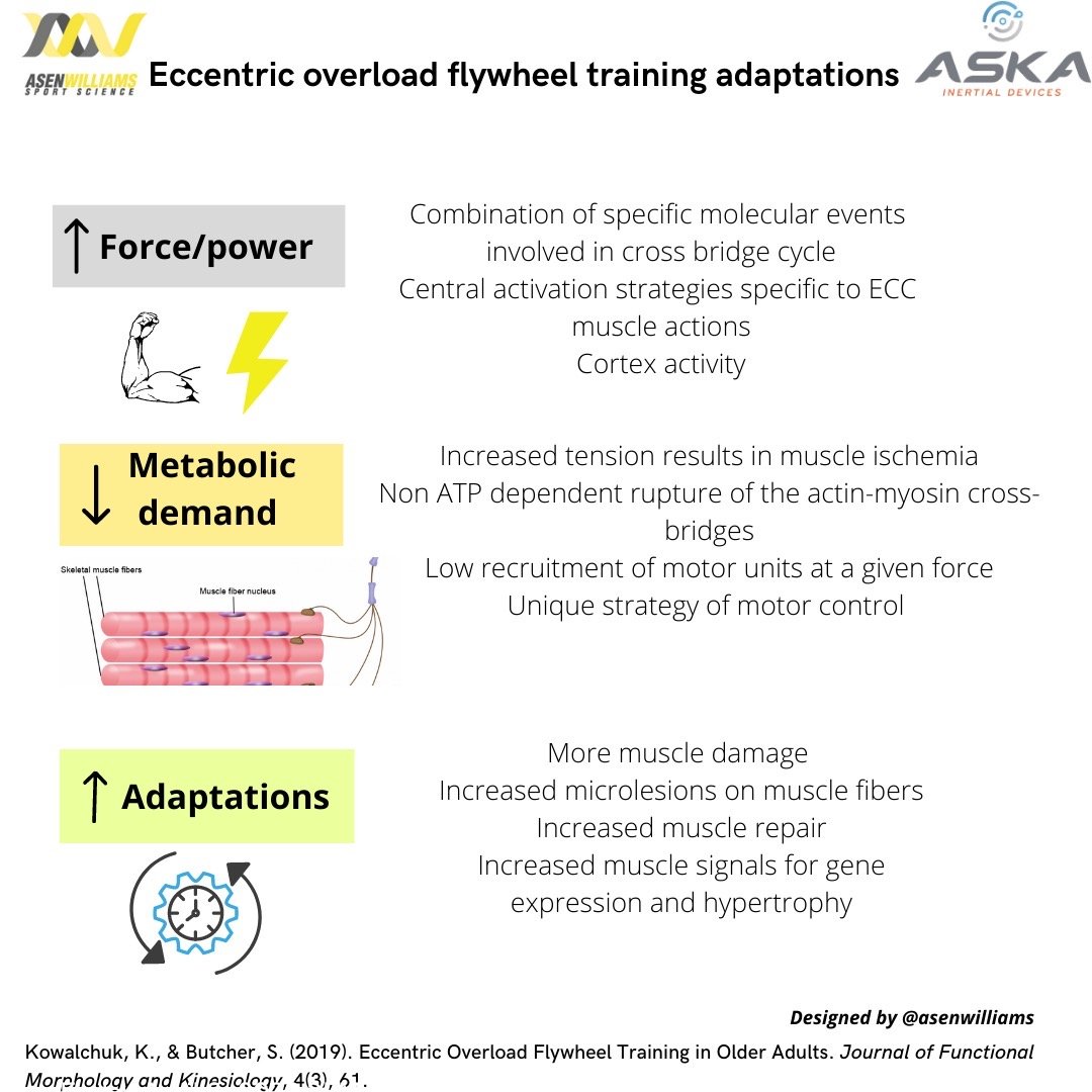 Eccentric overload flywheel training adaptions