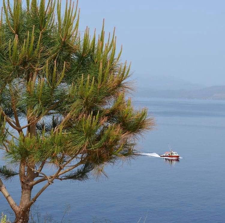 Eleni Sea Taxi - Marina Lazou - Transport on Hydra