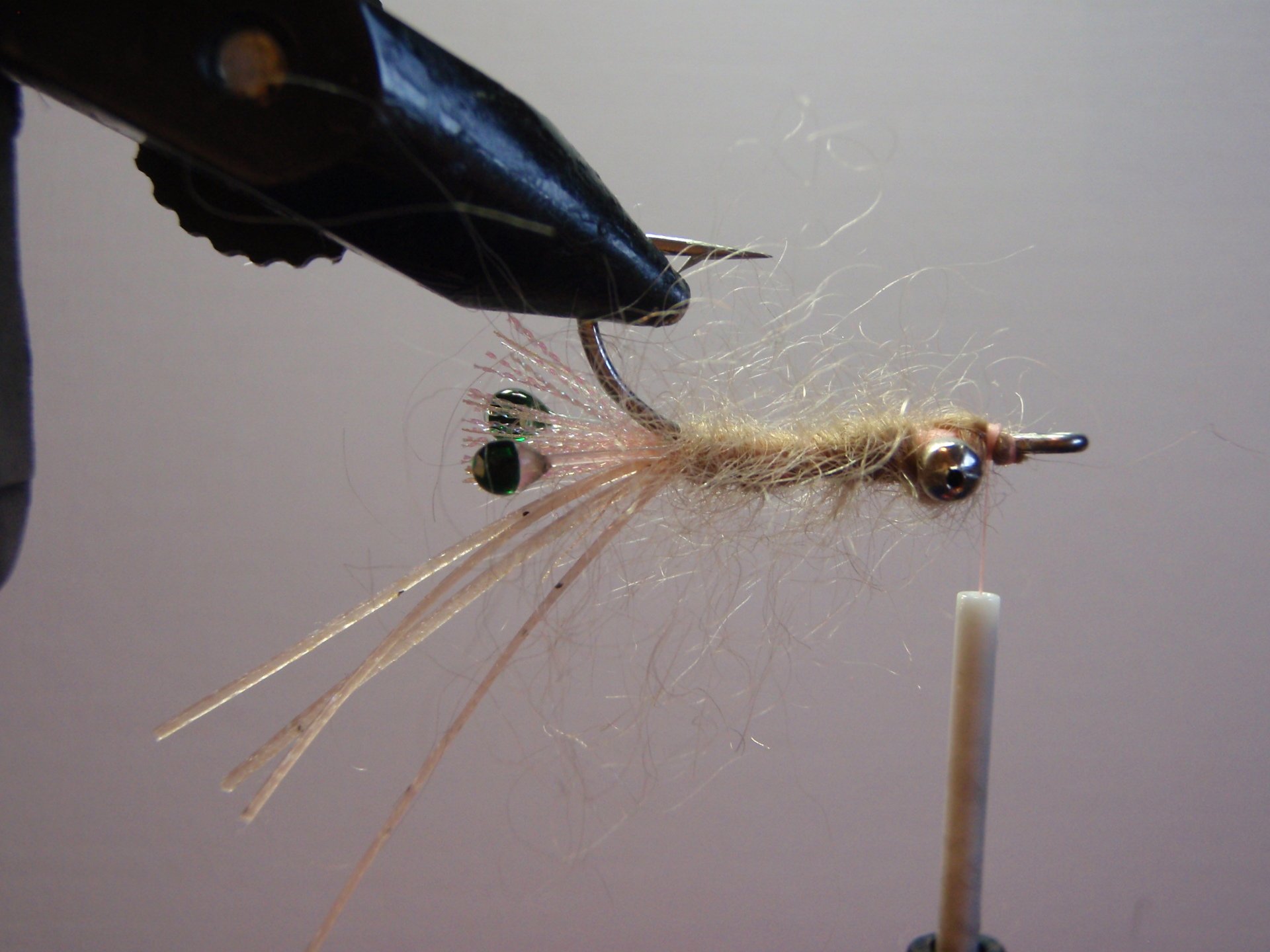 On The Water Fly Fishing Travel ǀ Calgary ǀ Crustacean Reduction