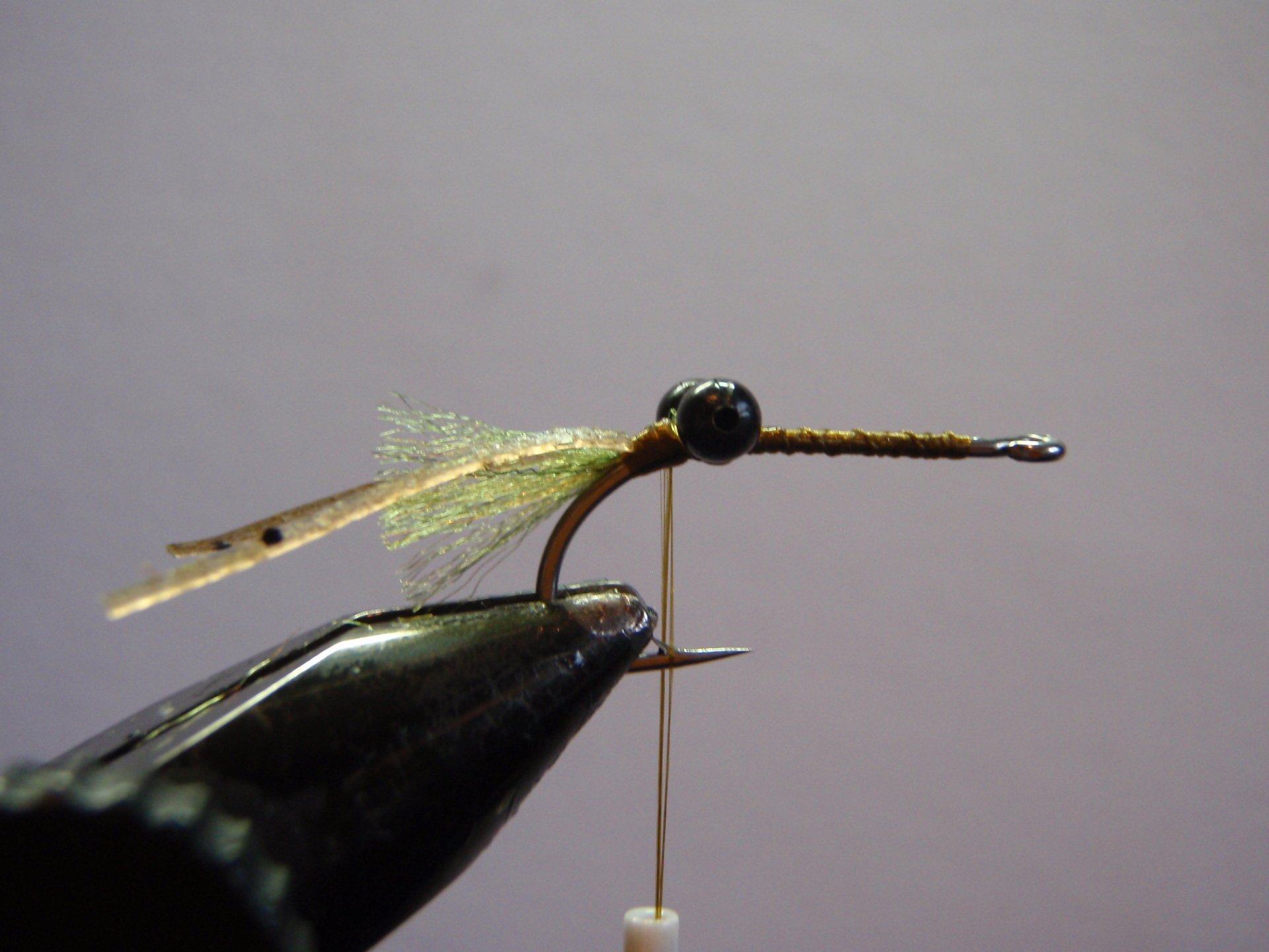 On The Water Fly Fishing Travel ǀ Calgary ǀ Pesca Squimp