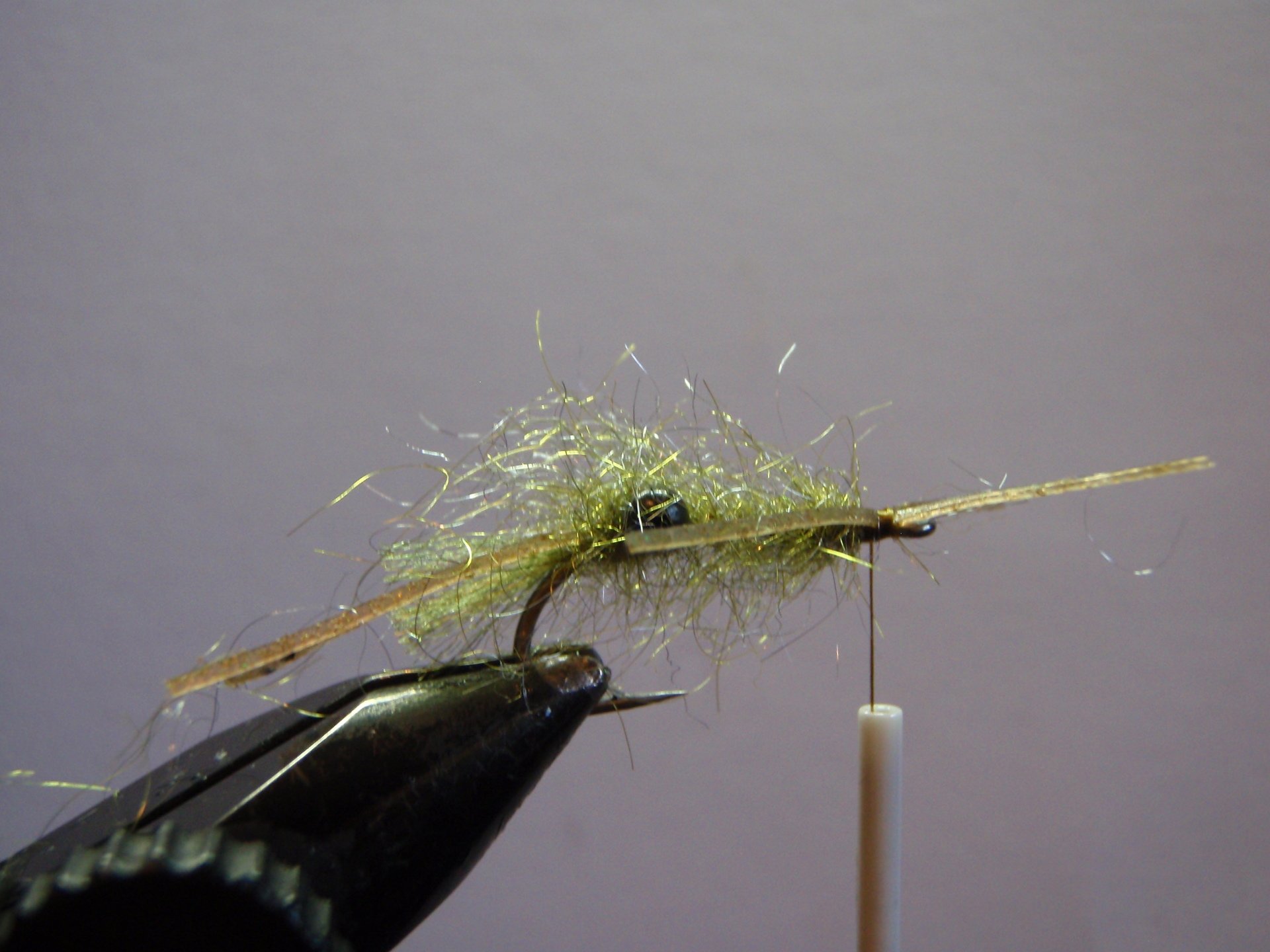 On The Water Fly Fishing Travel ǀ Calgary ǀ Pesca Squimp