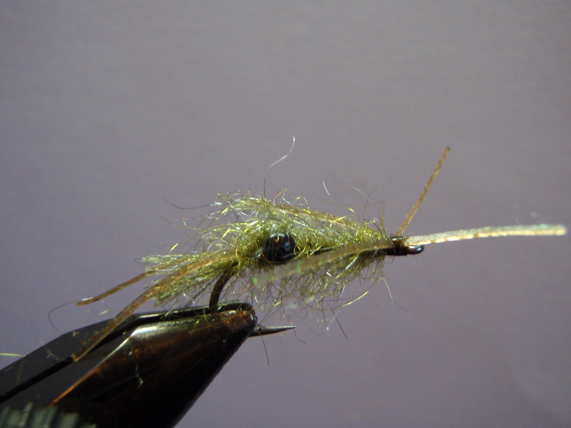 On The Water Fly Fishing Travel ǀ Calgary ǀ Pesca Squimp