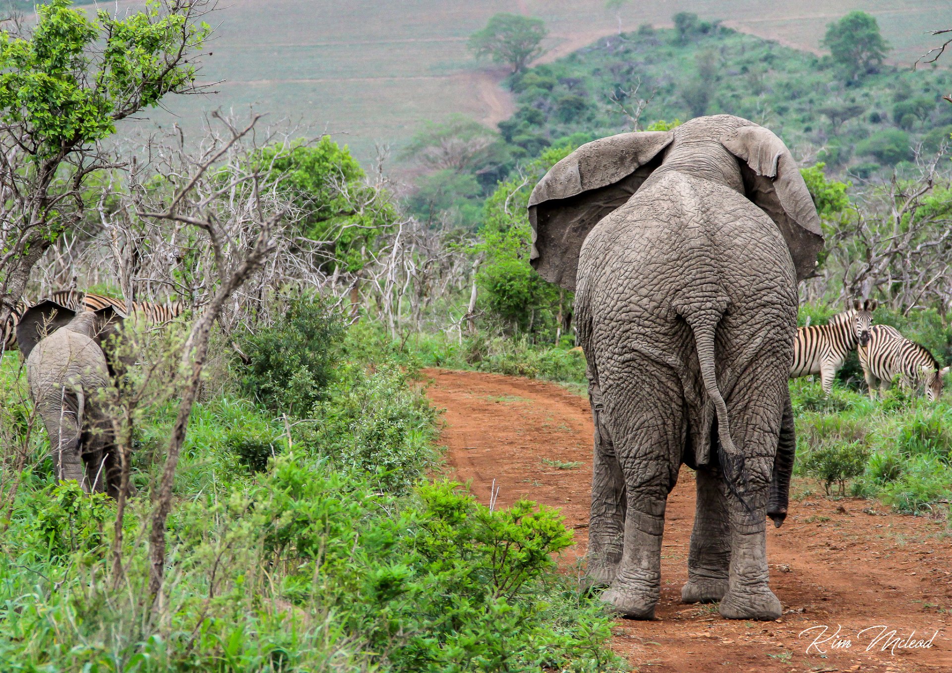 The Thula Thula Volunteer Academy