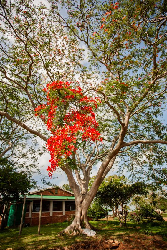 Welcome to the Thula Thula Volunteer Academy