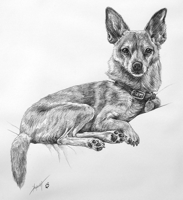Dog Drawings | Pet Portraits | Pet Painting | Dog Painting | Painted ...