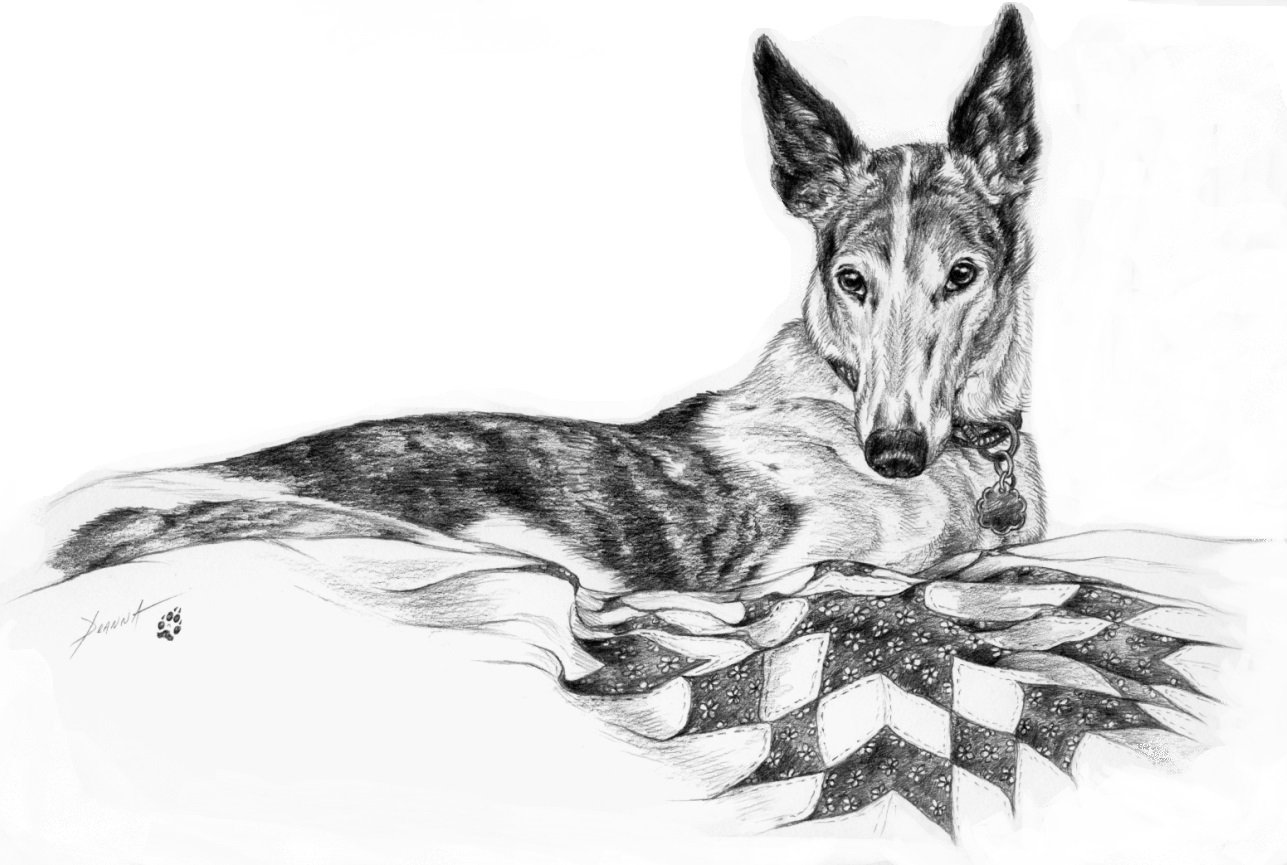 Dog Drawings | Pet Portraits | Pet Painting | Dog Painting | Painted Dogs