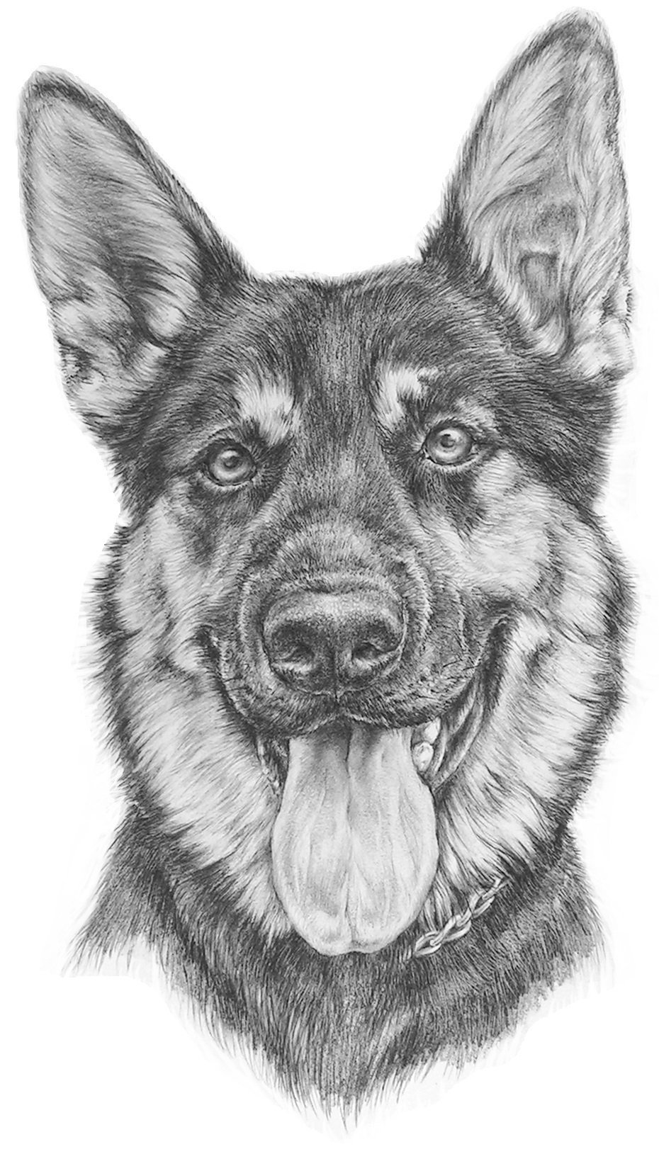 Dog Drawings | Pet Portraits | Pet Painting | Dog Painting | Painted Dogs