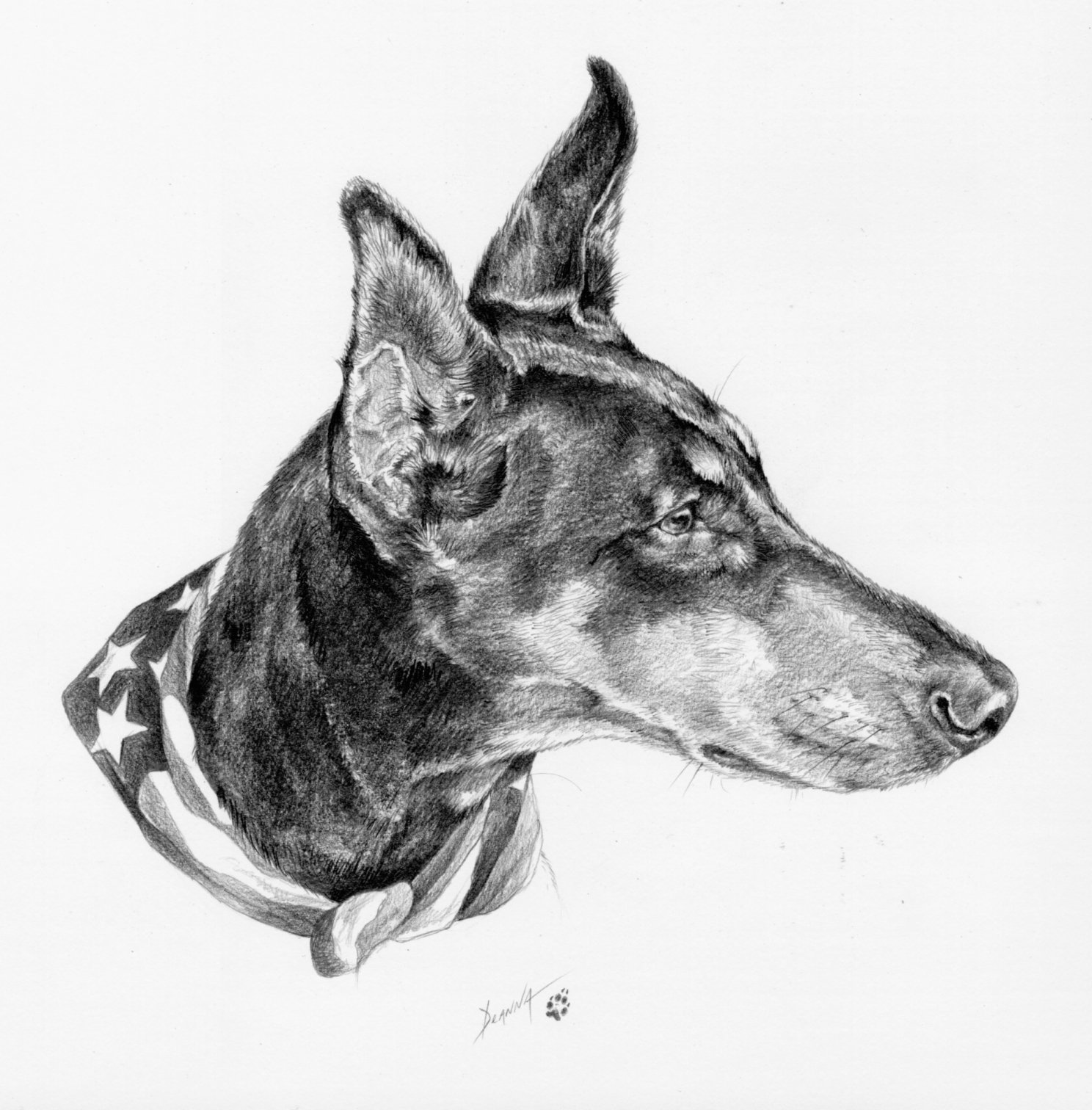 Dog Drawings | Pet Portraits | Pet Painting | Dog Painting | Painted ...