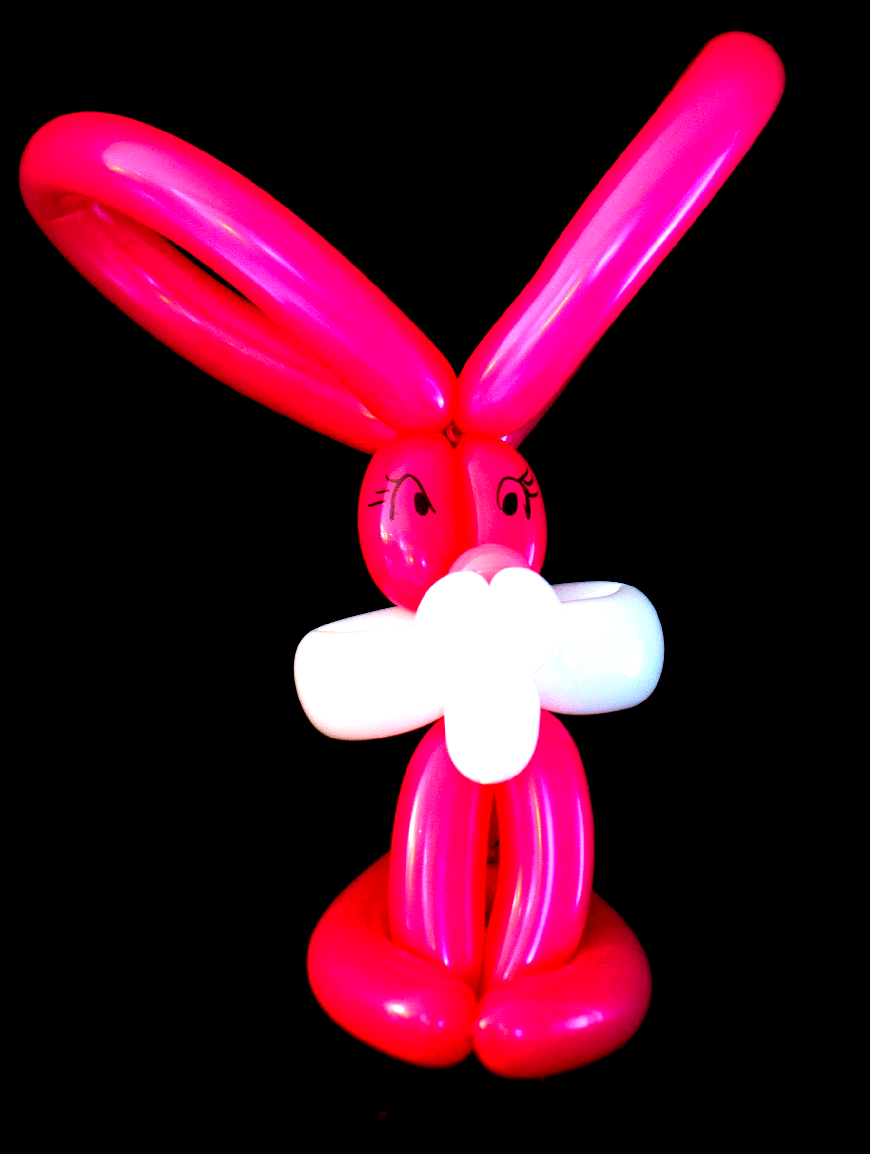 DazzleDay Balloon Twisters - Balloon Toy Gallery