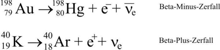 Biologie der Quantendimension - Elektron und Positron