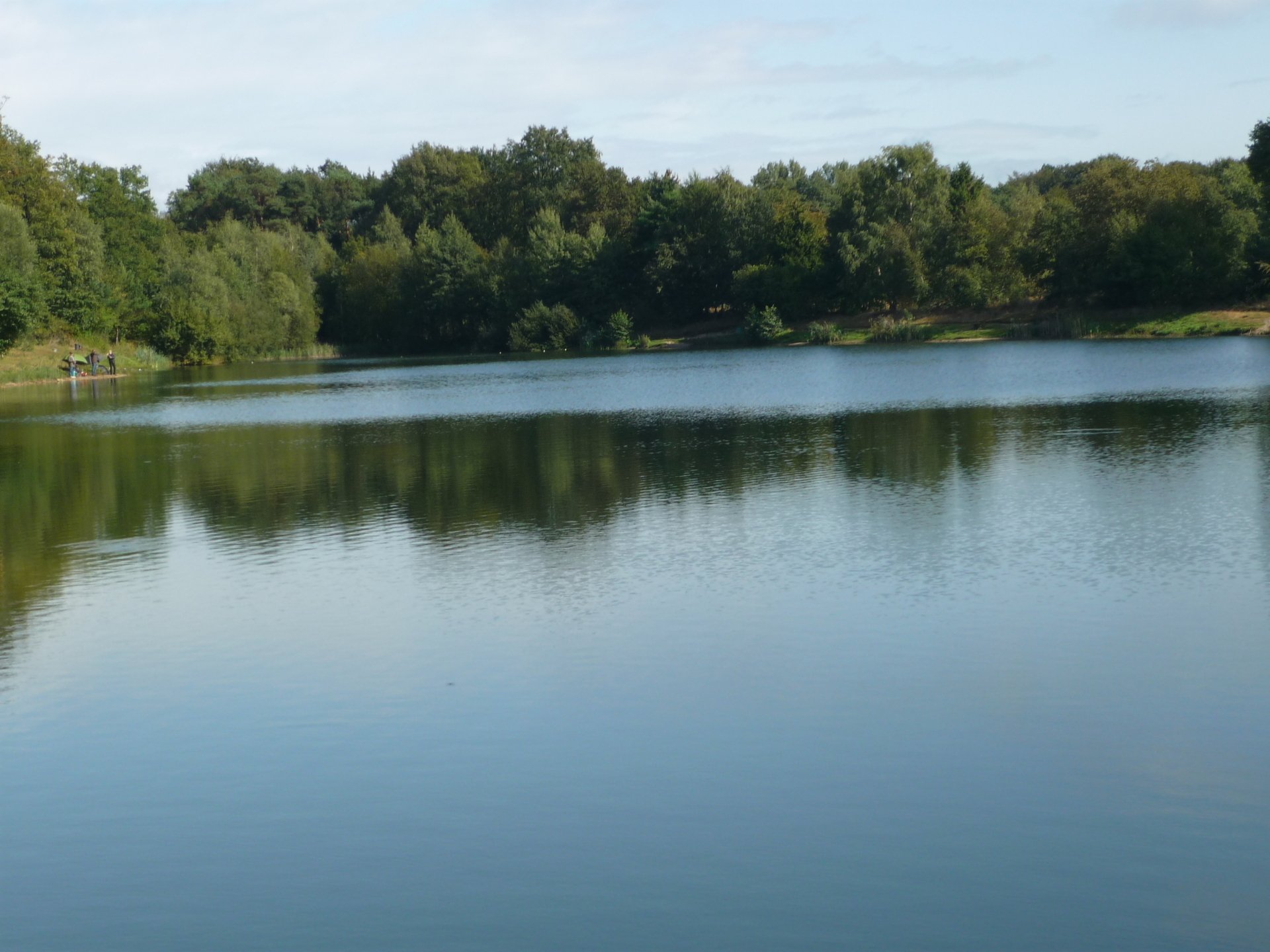 Waldsee