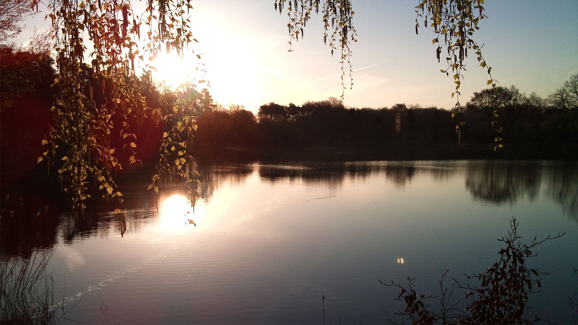 Waldsee Bad Laer