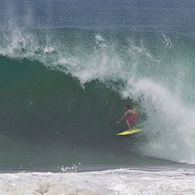 Home [www.detonatesurf.com]