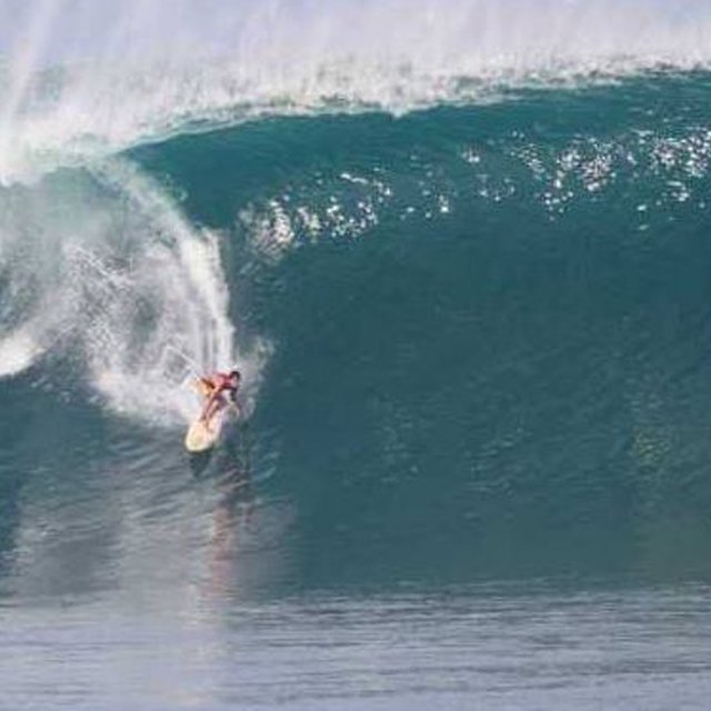 Home [www.detonatesurf.com]